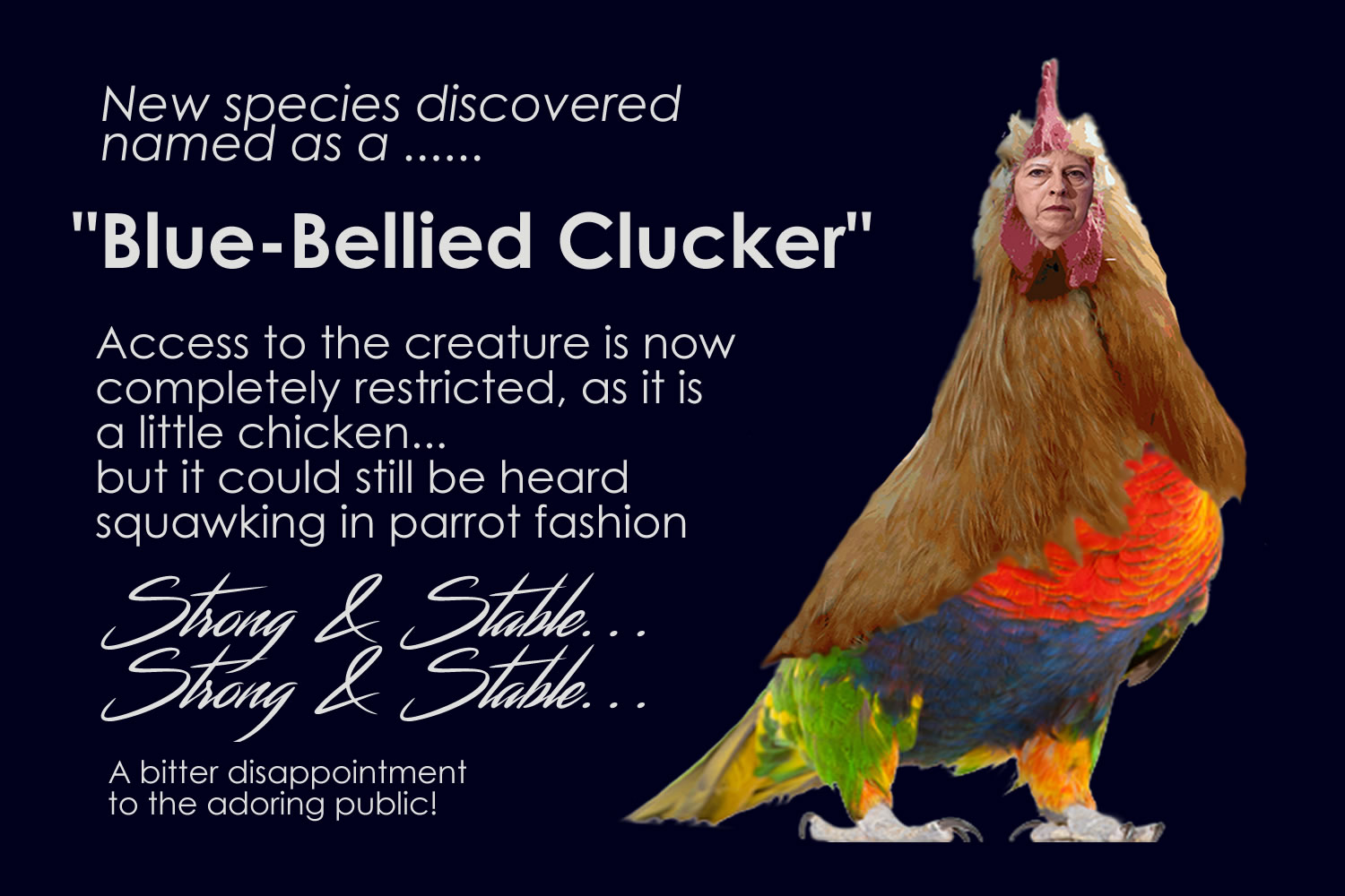 New Species Discovered - Blue-Bellied Clucker - Bremain in Spain